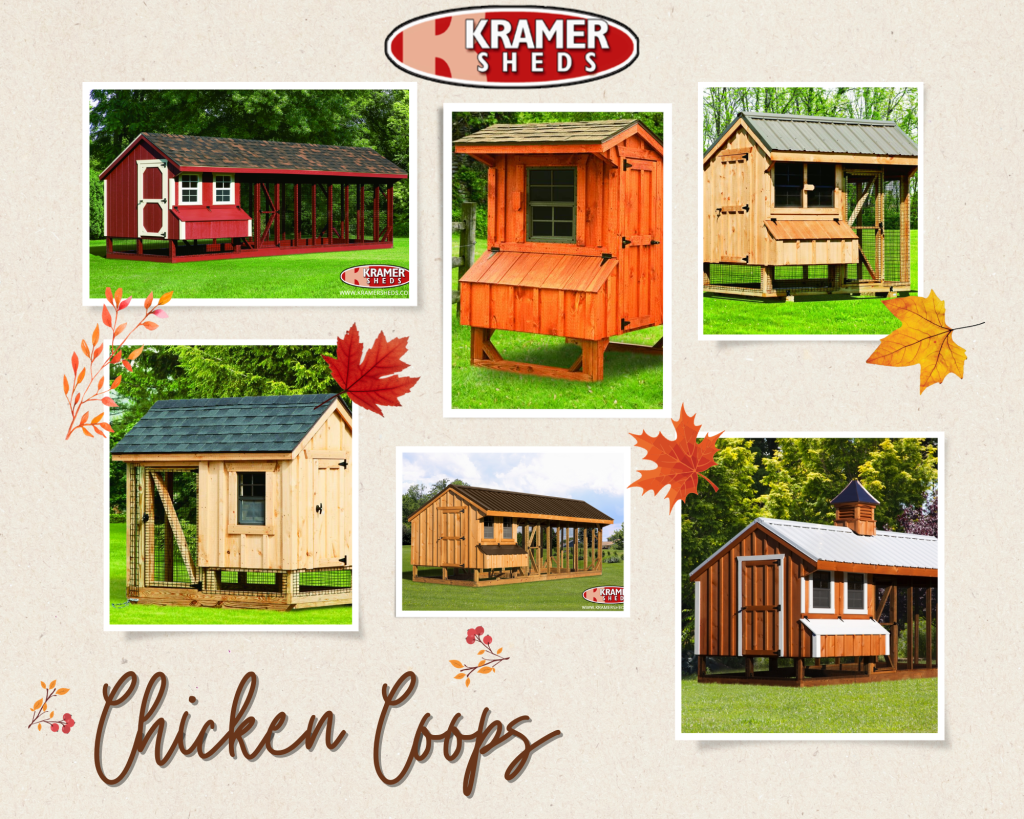 Many different Chicken Coops available - Kramer Sheds